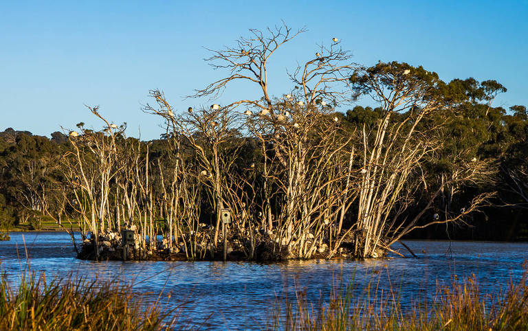 This Popular Park In Melbourne's South-East Has Unveiled Two New ...