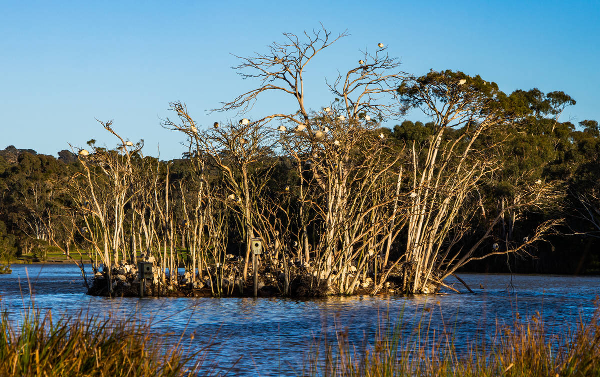This Popular Park In Melbourne's South-East Has Unveiled Two New ...