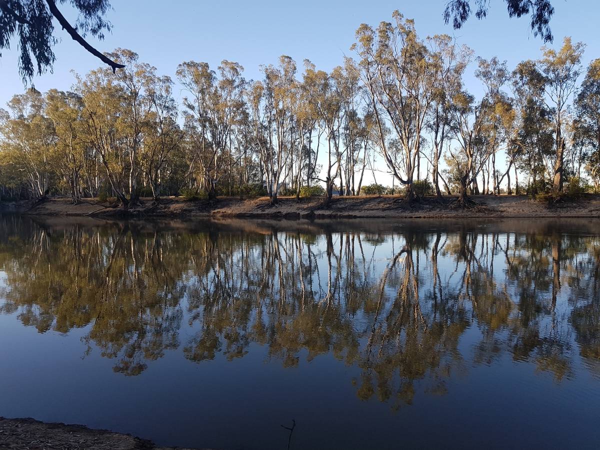 Find 'The Kakadu Of The South', Australia's Largest Inland Island, 3.5 ...