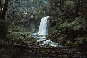 8 Stunning Natural Wonders Less Than Three Hours From Melbourne