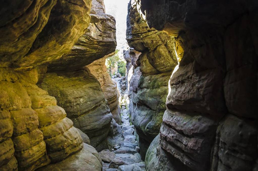 This 8.7km Trail Is The Most Scenic Summer Hike In Victoria - With ...