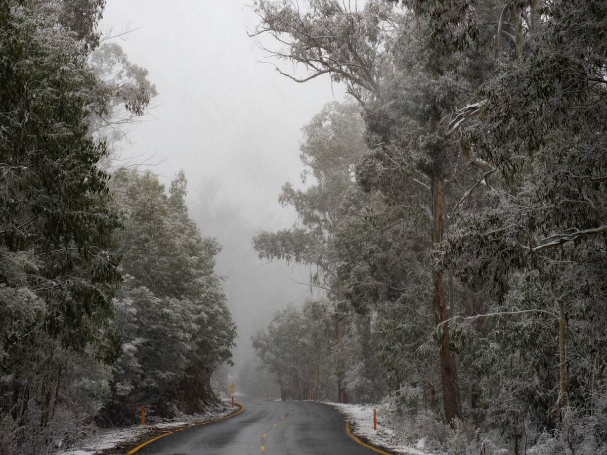 Victoria Snow Forecast: Where to See Snow Near Melbourne