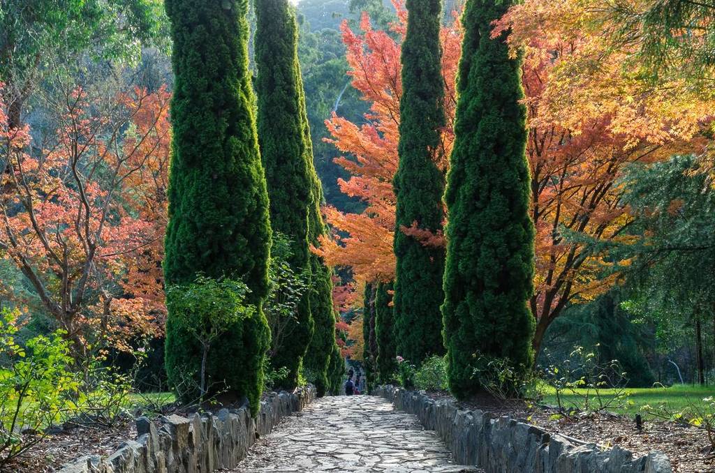 See pretty autumn trees as you climb up a Rose Stairway and discover ...