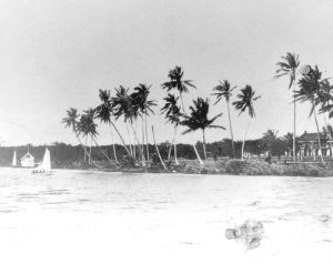 Meet Julia Tuttle: The 'Mother Of Miami' & Only Woman To Have Founded A ...