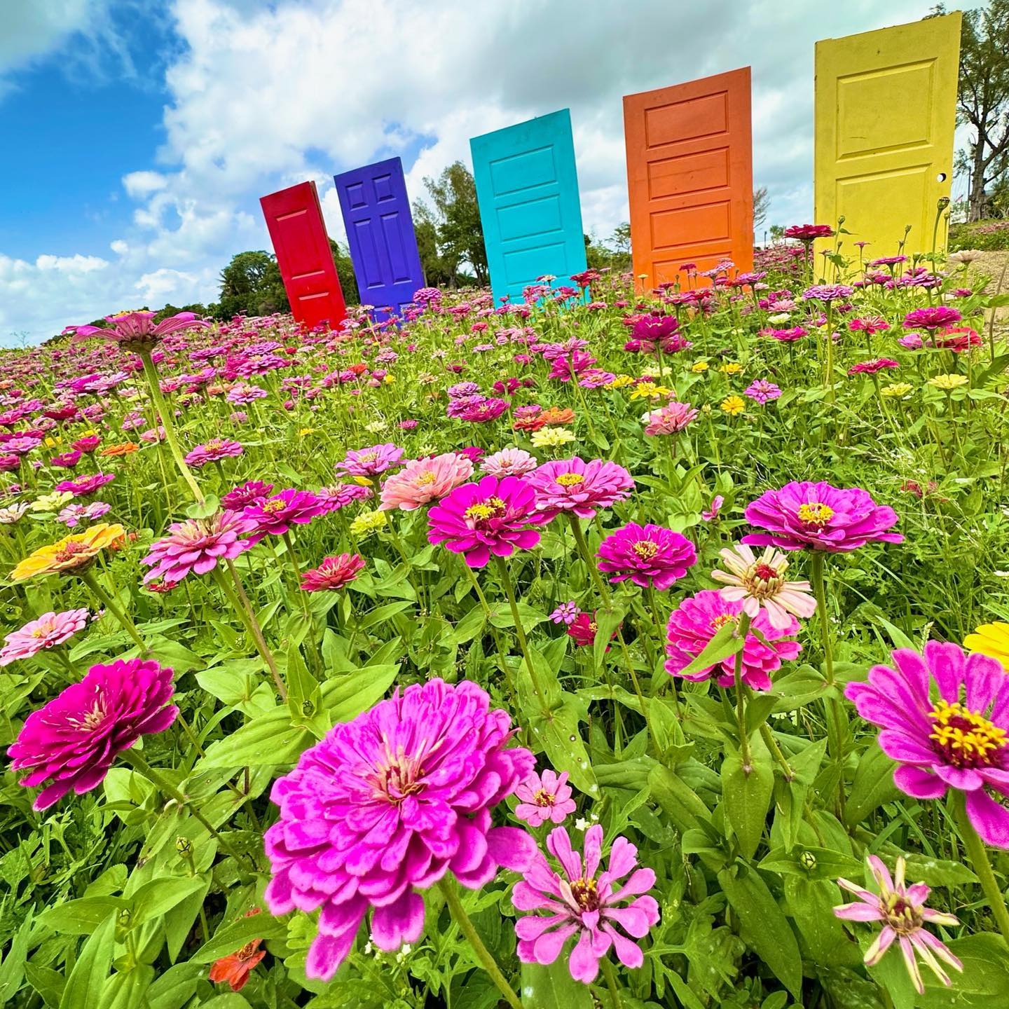 30 Lovely Things To Do In Miami This April - Secret Miami