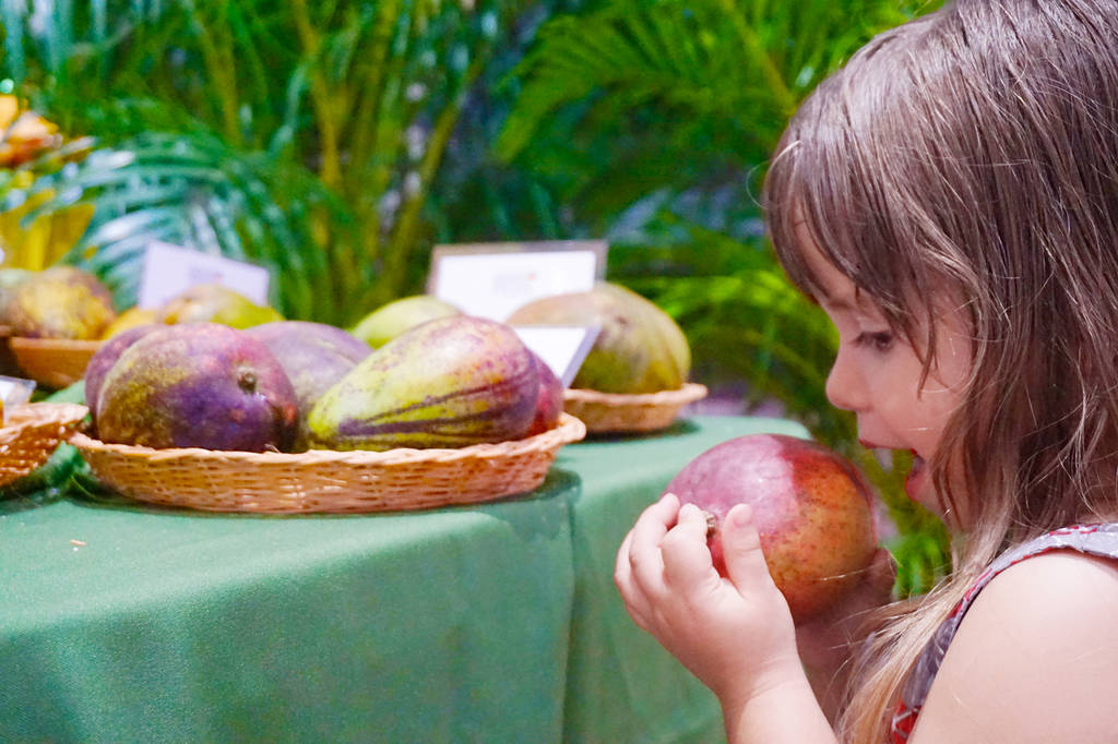 15 Brilliant Ways To Enjoy July 2025 In Miami