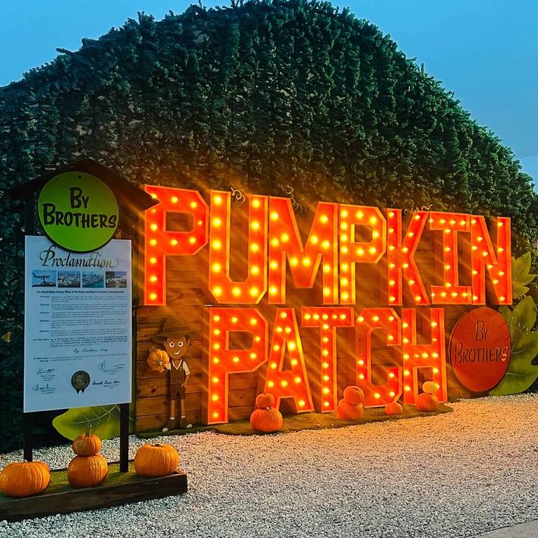 6 Best Pumpkin Patches In Miami To Get Into The Fall Spirit