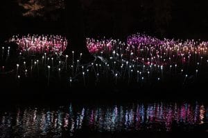 11 Best Places To See Holiday Lights In Miami - Secret Miami