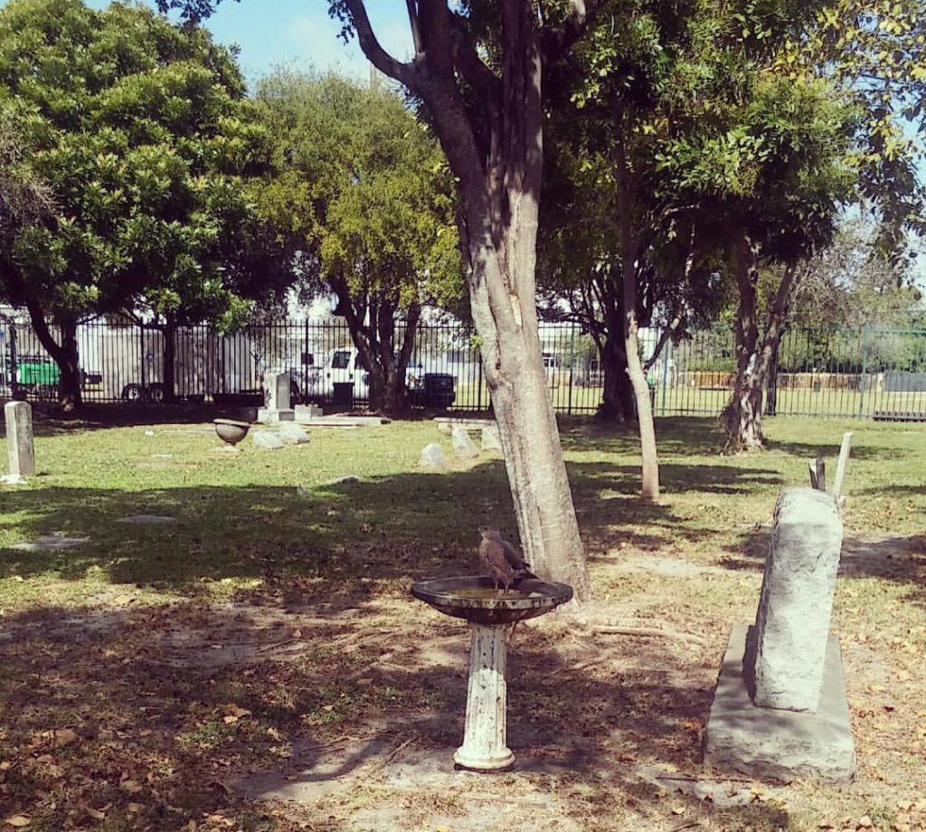 12 Haunted Places In Miami That Will Give You Chills