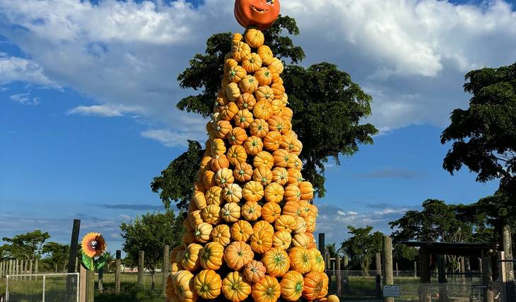 Secret Miami - Your Complete Guide To Things To Do In Miami