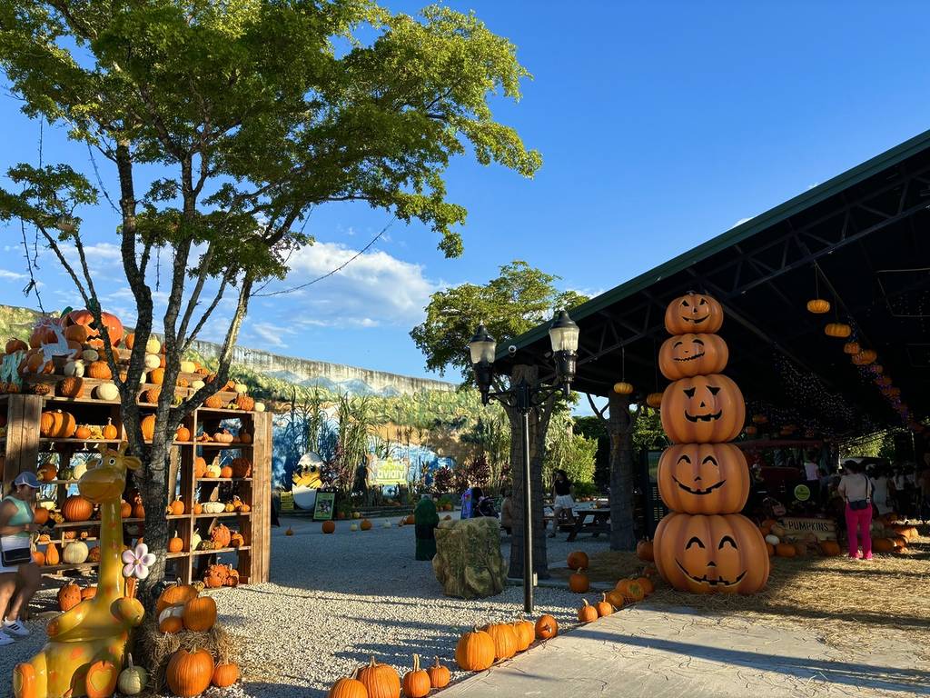 9 Must-Visit Pumpkin Patches In Miami To Get Into The Fall Spirit