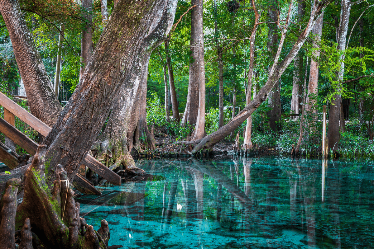 Clear Natural Spring