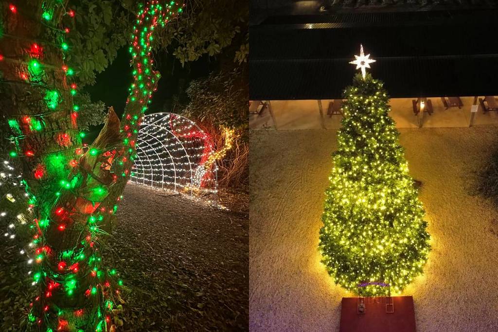 19 Best Holiday Light Displays To Admire In Miami This Winter