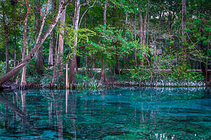 9 Gorgeous Natural Springs To Check Out Around Miami