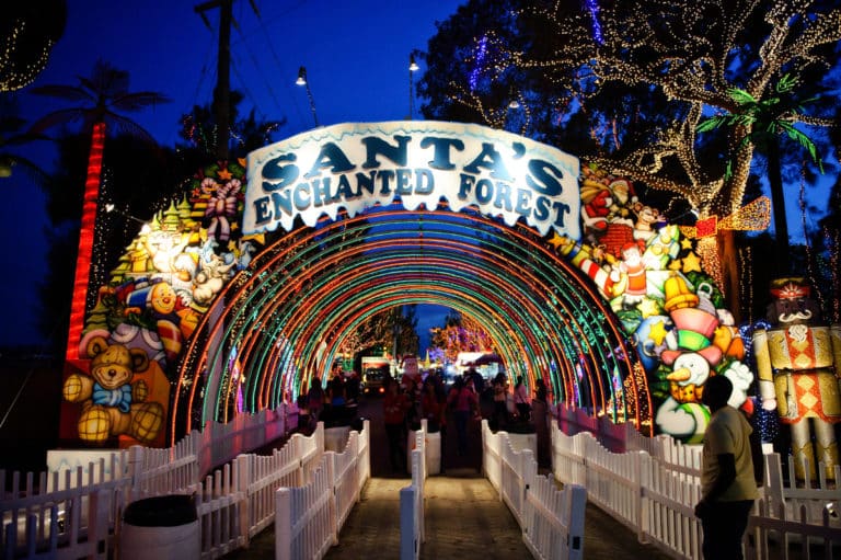 21 Best Holiday Light Displays To Admire In Miami This Winter