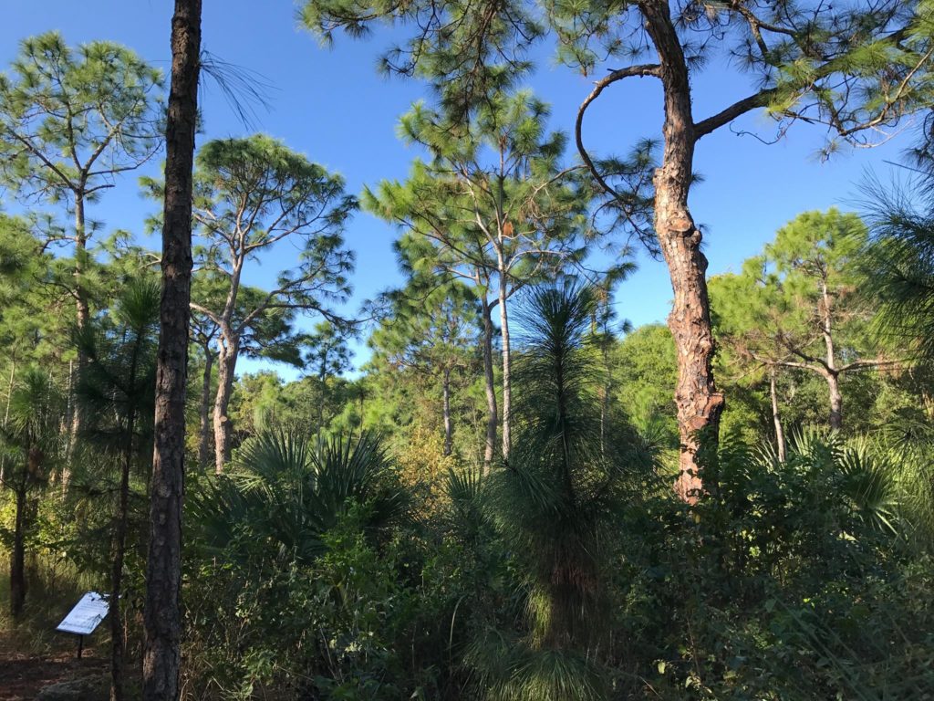 12 Beautiful Places To Go Hiking In And Around Miami