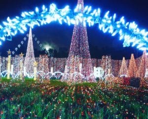 15 Of The Best Holiday Light Displays Illuminating Miami This Year