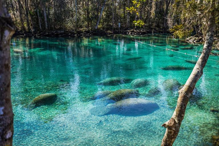 9 Gorgeous Natural Springs To Check Out Around Miami