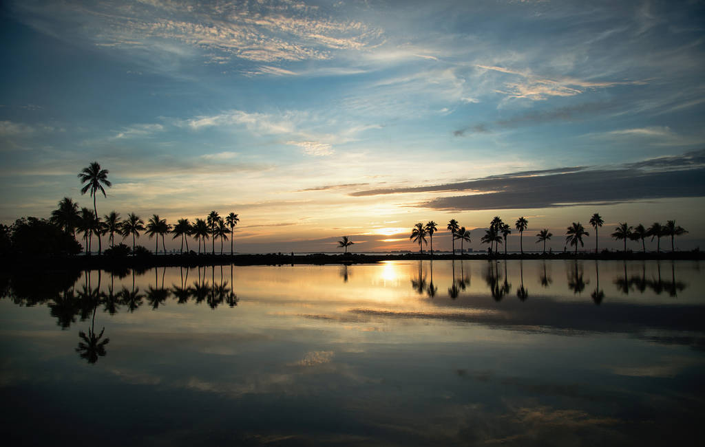 14 Parks & Gardens Around Miami For A Stroll Through Nature