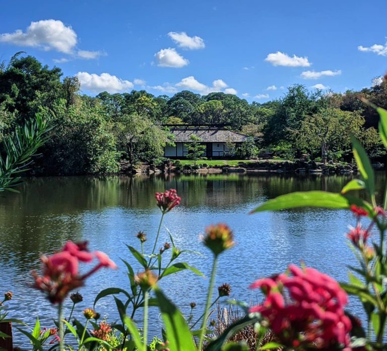 7 Gorgeous Gardens In And Around Miami For A Relaxing Stroll Through ...