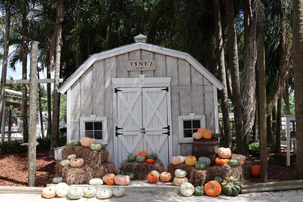 9 Must-Visit Pumpkin Patches In Miami To Get Into The Fall Spirit