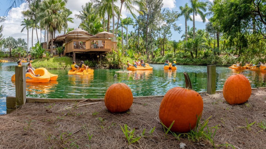 12 Lugares Otoñales Para Ir A Recoger Calabazas En Miami Y El Sur De FL