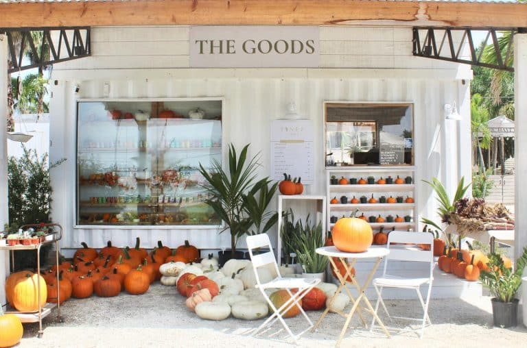 12 Fall-tastic Places To Go Pumpkin Picking In Miami & South FL