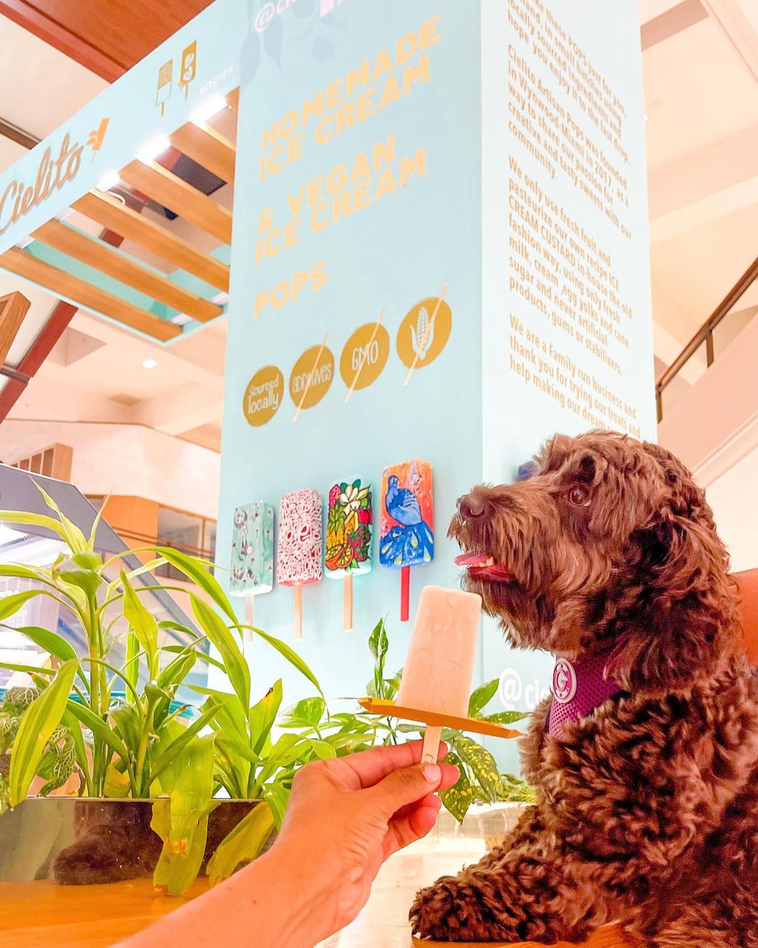 14 Best Dog-Friendly Bars, Cafés, And Restaurants To Hang With Your Pup ...