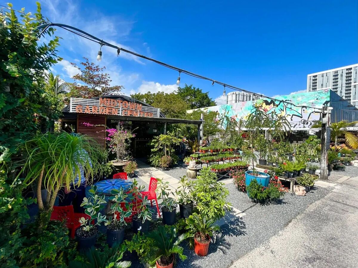 9 Best Plant Shops Around Miami To Feed Your Tropical Obsession