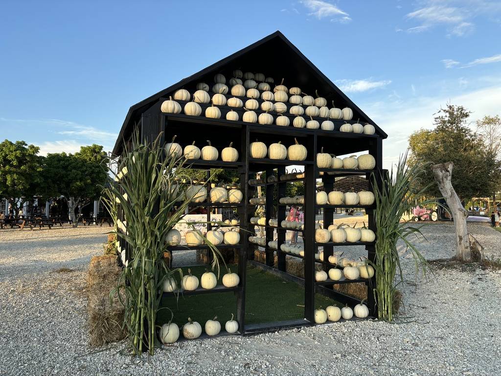 6 Best Pumpkin Patches In Miami To Get Into The Fall Spirit