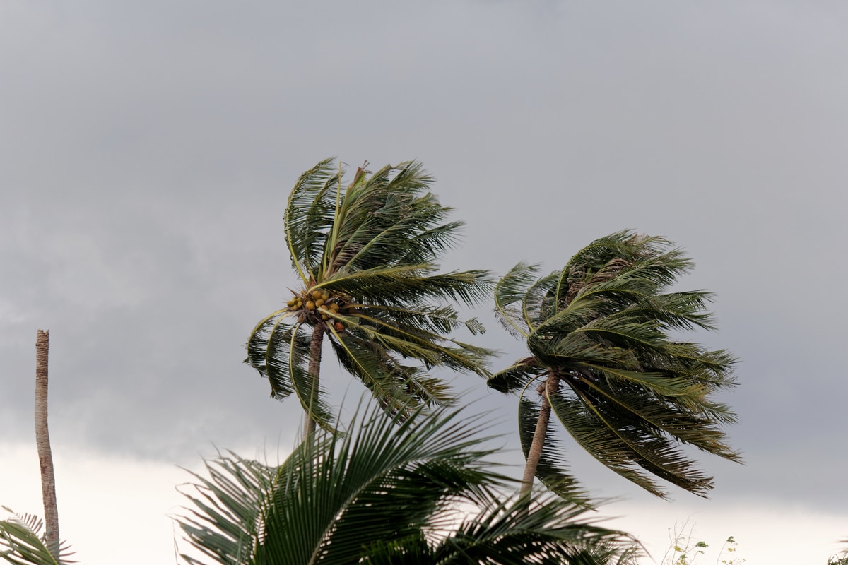 Florida Officials Are Monitoring Tropical Depression Nine As It Could ...