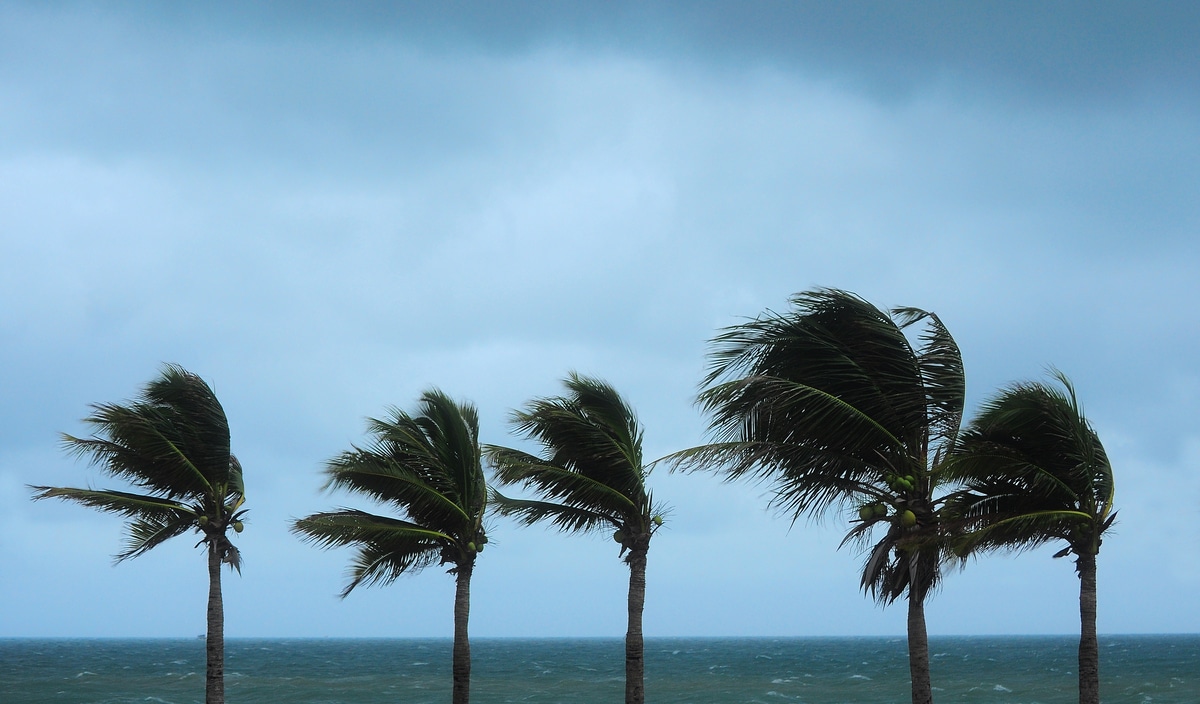 Here’s What Miami Can Expect From Hurricane Ian