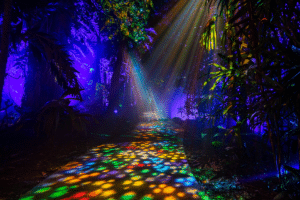 19 Best Holiday Light Displays To Admire In Miami This Winter