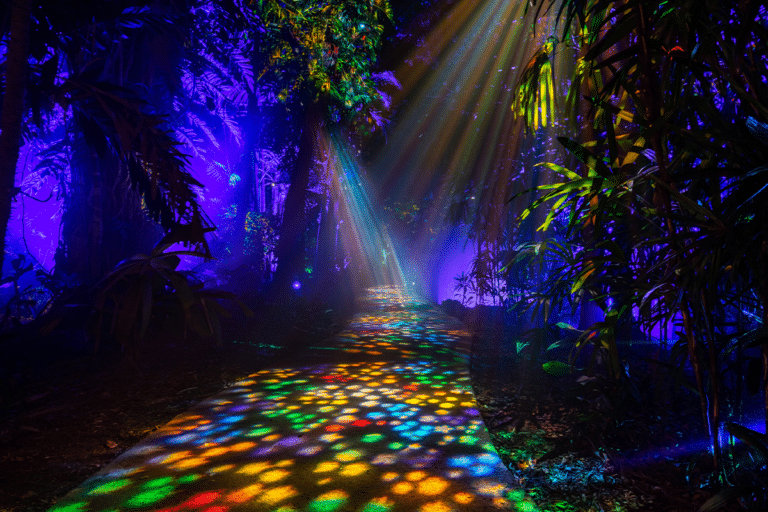 19 Best Holiday Light Displays To Admire In Miami This Winter