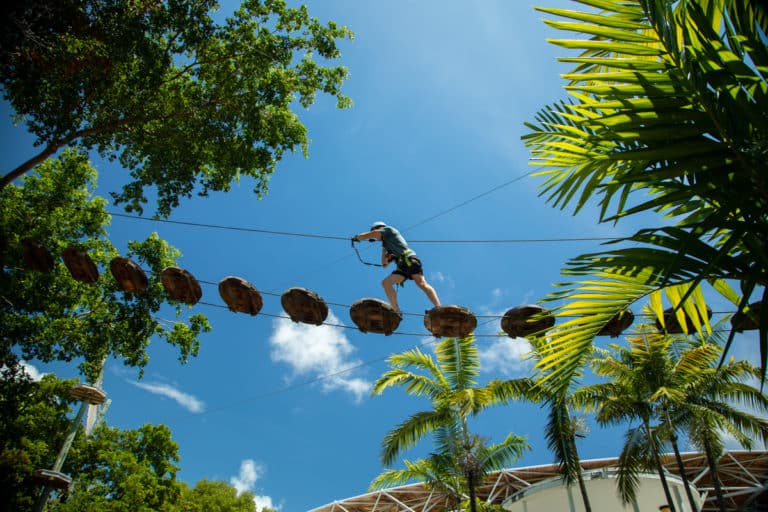 You Can Soar Through The Trees At This Zipline Adventure Park In Miami