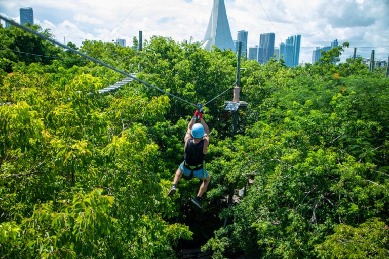 26 Fun Birthday Ideas To Celebrate Your Special Day In Miami