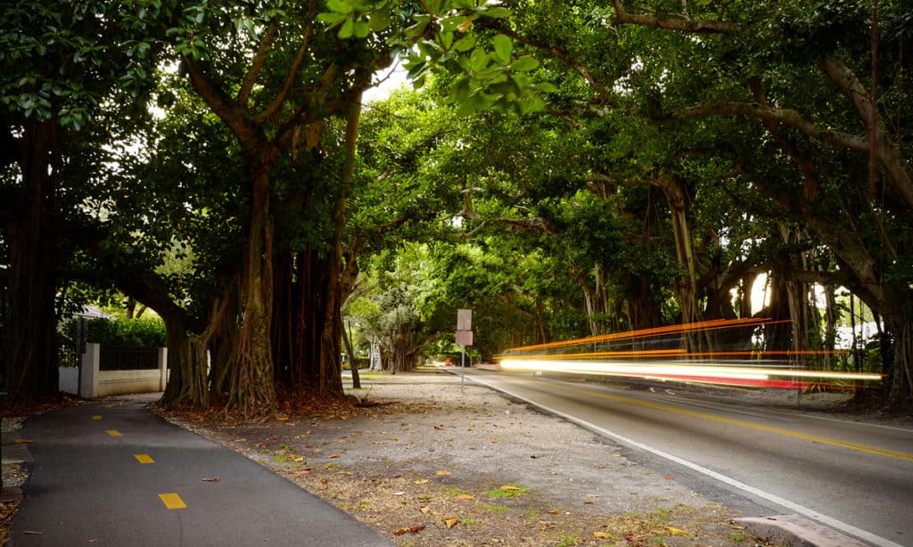 8 Lovely Bike Trails Around Miami For Picturesque Rides