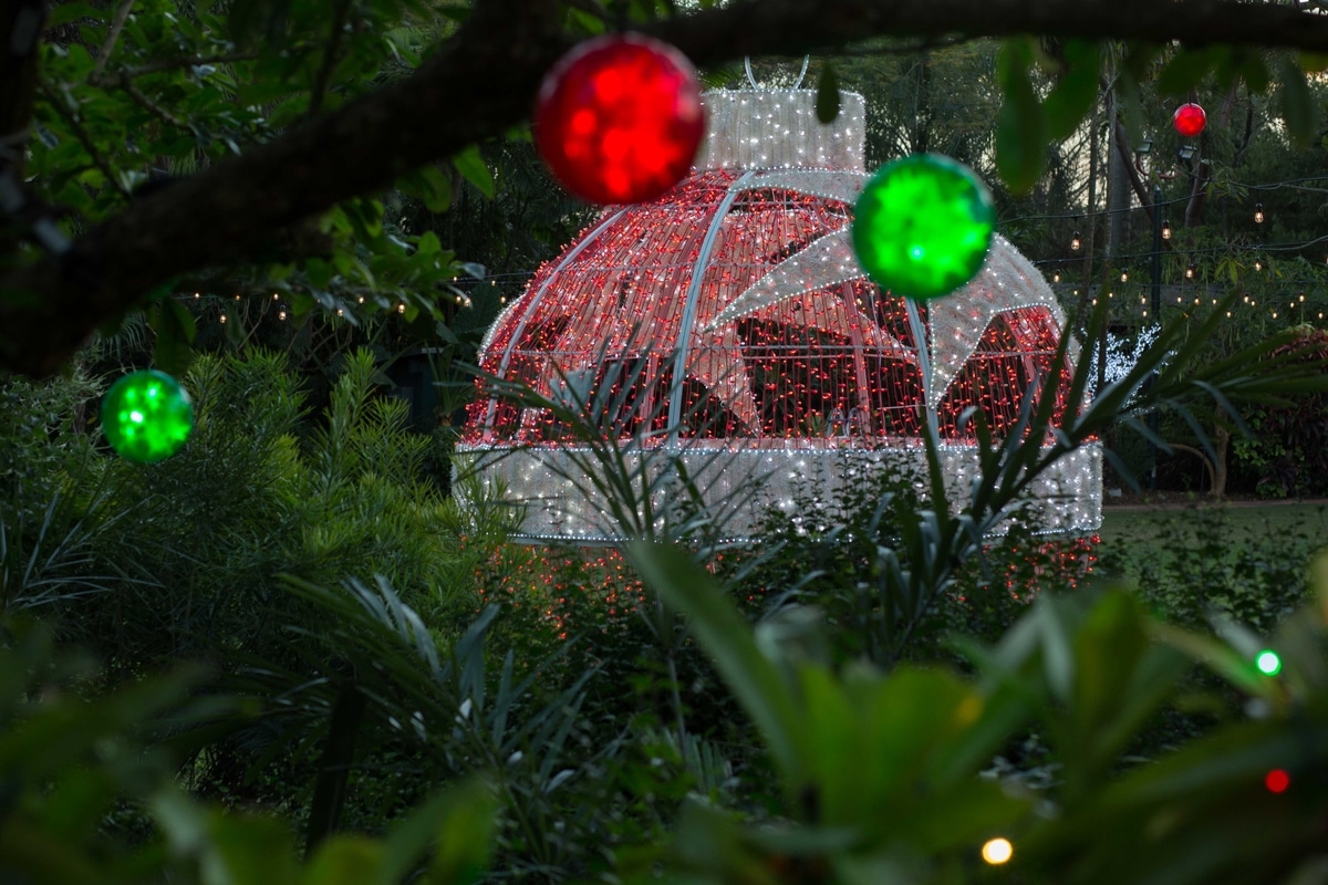 Pinecrest Gardens' Enchanting "Nights Of Lights" Kicks Off This Weekend