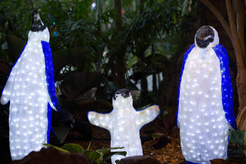 19 Best Holiday Light Displays To Admire In Miami This Winter