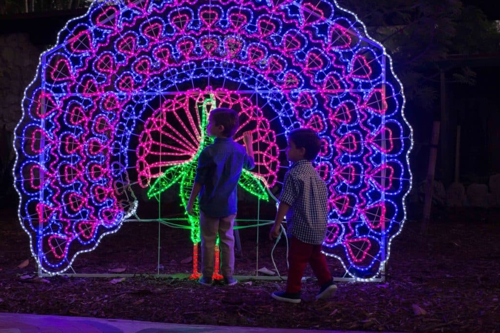 Pinecrest Gardens' Enchanting "Nights Of Lights" Kicks Off This Weekend