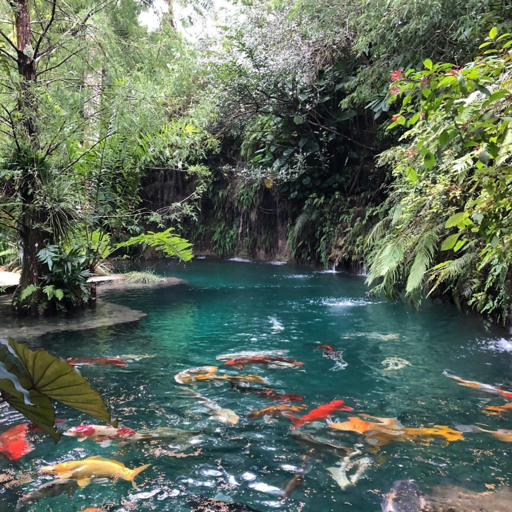 20 cosas fantásticas que hacer en Homestead