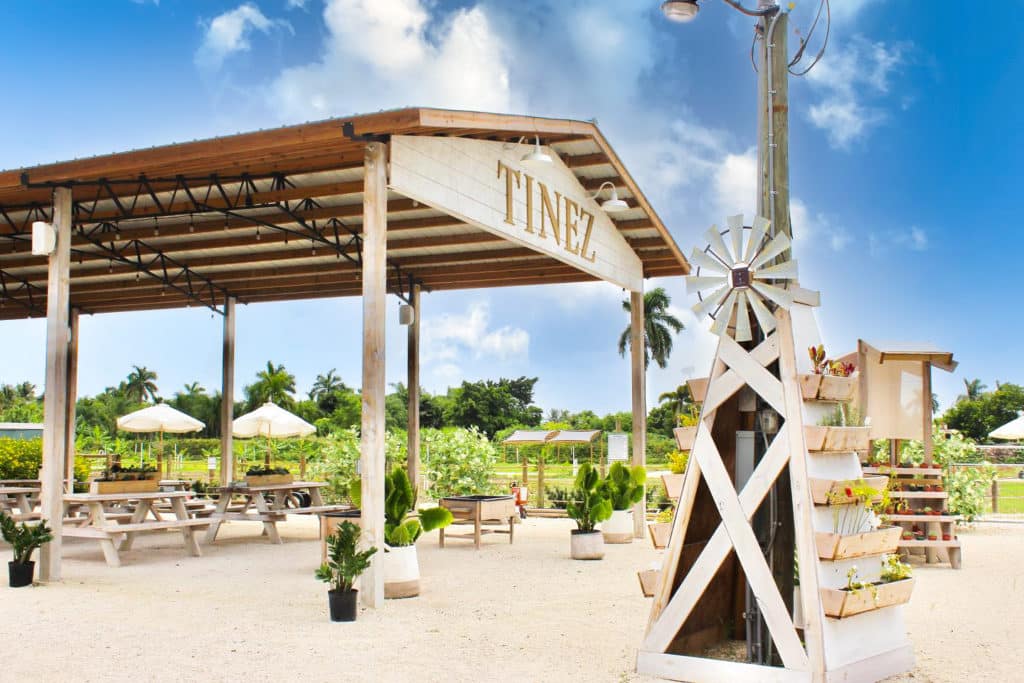 25 Best Family-Fun Things To Do With Kids In Miami