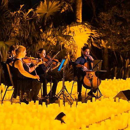 19 Fabulous Things To Do In Miami This February