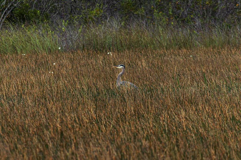 45 Of The Best Things To Do In Miami At Least Once In Your Life