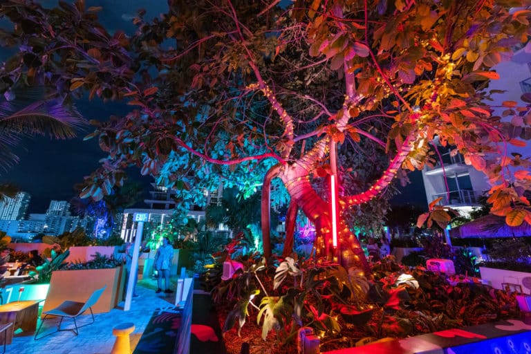 20 Of The Best Cocktail Bars In Miami For Your Next Night Out