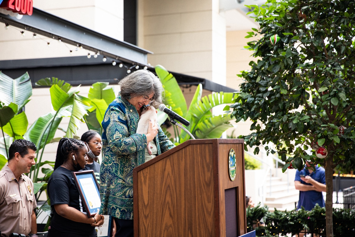 Miami's 6th Annual Pig Pardoning Ceremony Takes Place Monday