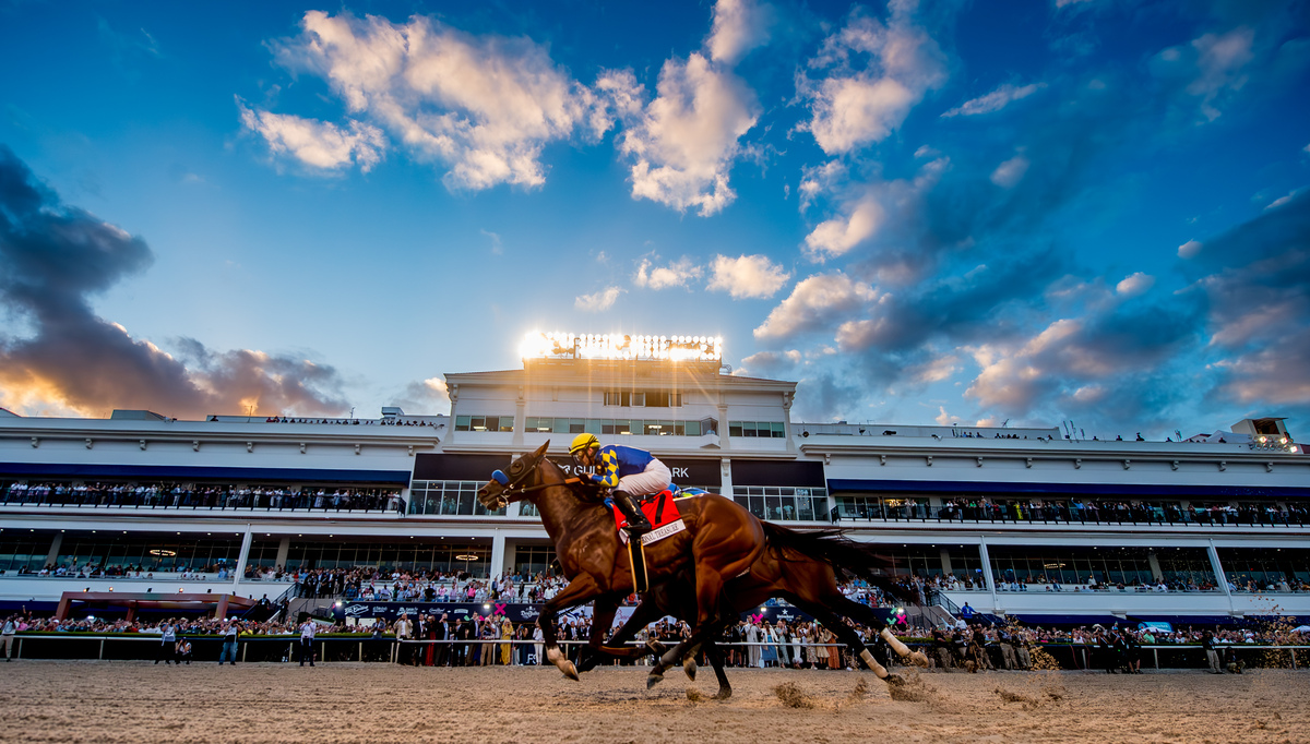 The 2026 Pegasus World Cup Returns For Its 10th Anniversary
