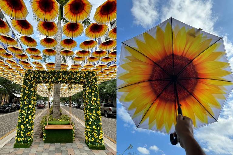 18 Spectacular Things To Do In Miami This June