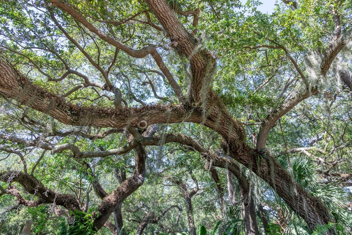 Hike Through Mangrove Forests At This Miami Hidden Gem