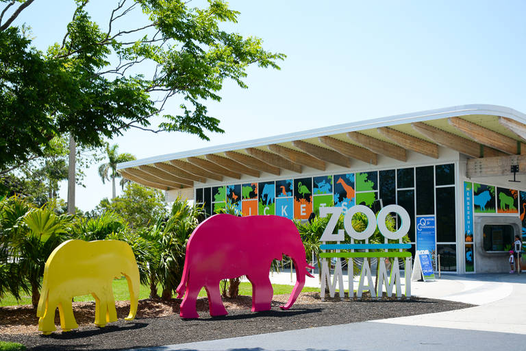 5 Incredible Zoos And Animal Experiences In And Around Miami
